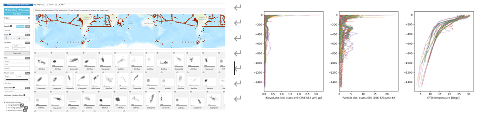 法国HYDROPTIC公司UVP6-HF水下颗粒物和浮游动物图像原位采集系统价格,详情介绍-960化工网 – 960化工网