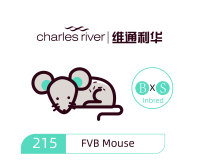 维通利华 C57BL/6J Nifdc小鼠 SPF级价格_品牌:维通利华（Vital River）-丁香通