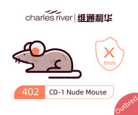 维通利华 C57BL/6J Nifdc小鼠 SPF级价格_品牌:维通利华（Vital River）-丁香通