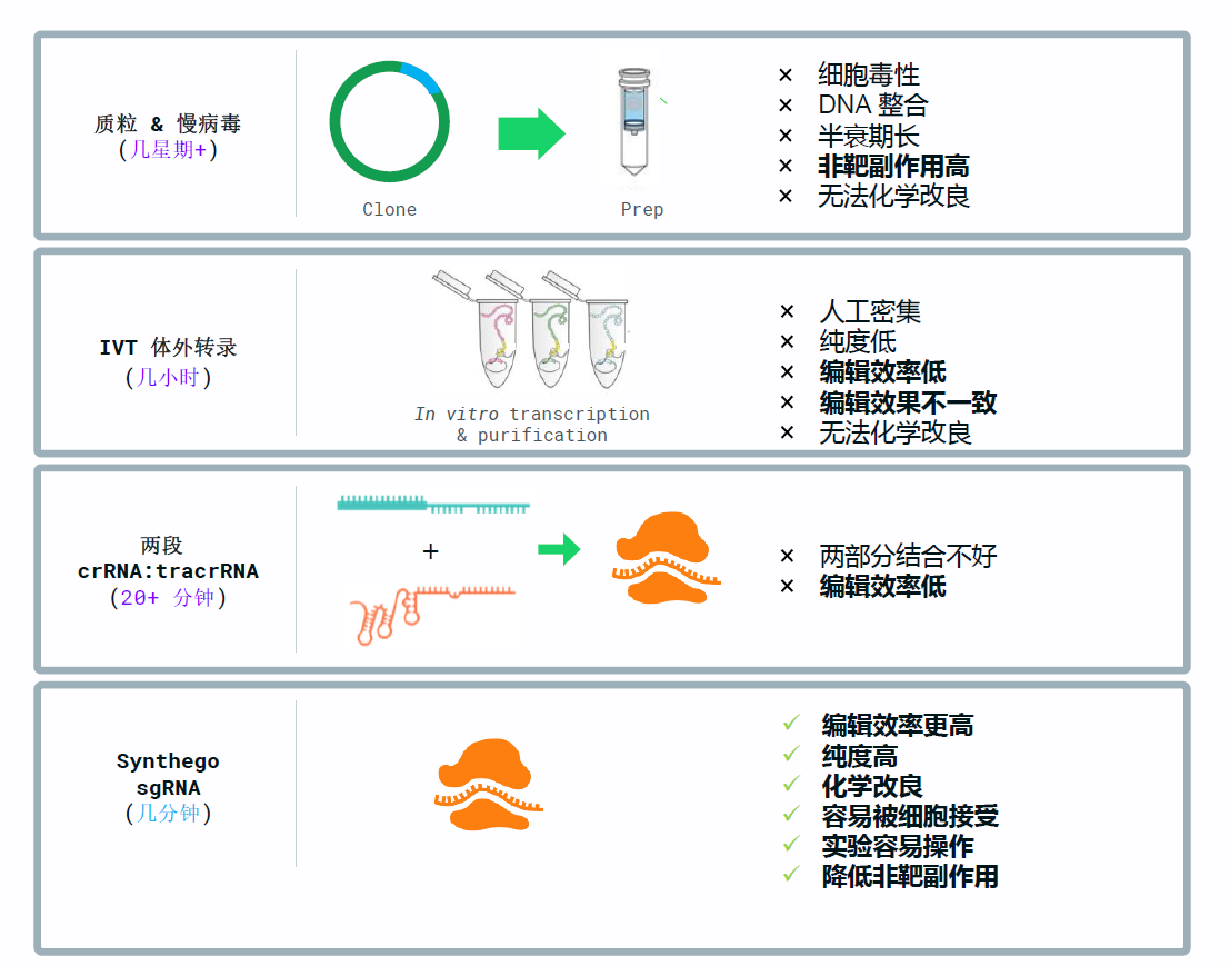 【基因编辑】Synthego提供多种sgRNA合成服务_公司新闻_北京达科为生物技术有限公司