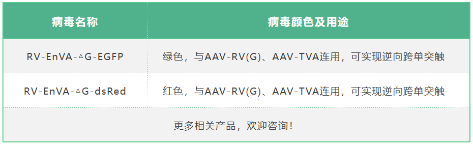 逆向跨单标记/神经示踪/逆向/RV-EnvA- G-EGFP/dsRED价格,详情介绍-960化工网 – 960化工网