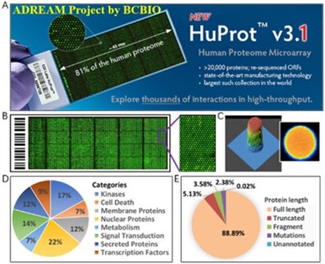 快速高效的蛋白质组学研究工具-Huprot™ 人类蛋白质组芯片 - 企业动态 - 丁香通