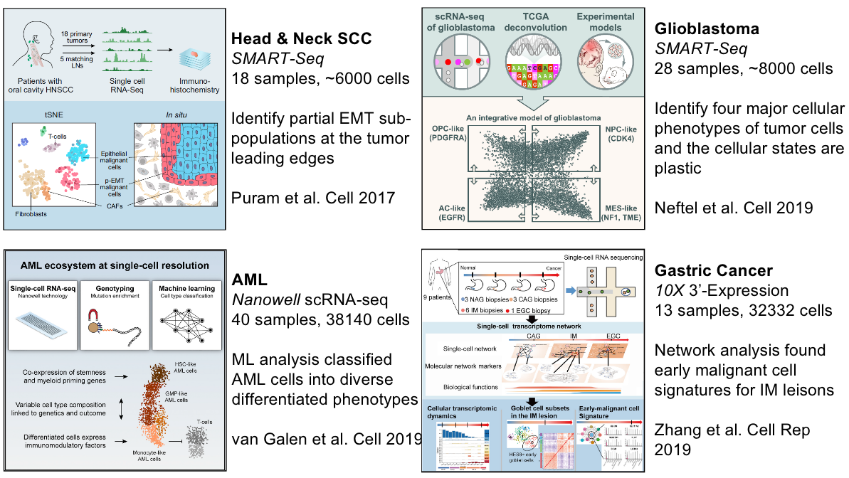 scCancer 分析-深度助力肿瘤单细胞转录组研究-公司新闻-中科光华（西安）智能生物科技有限公司