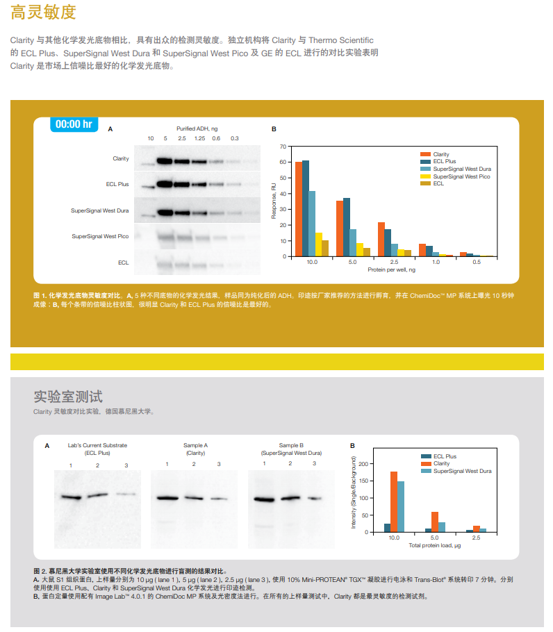 Bio-Rad经典Western试剂（制胶、Marker、ECL底物）价格,详情介绍-960化工网 – 960化工网