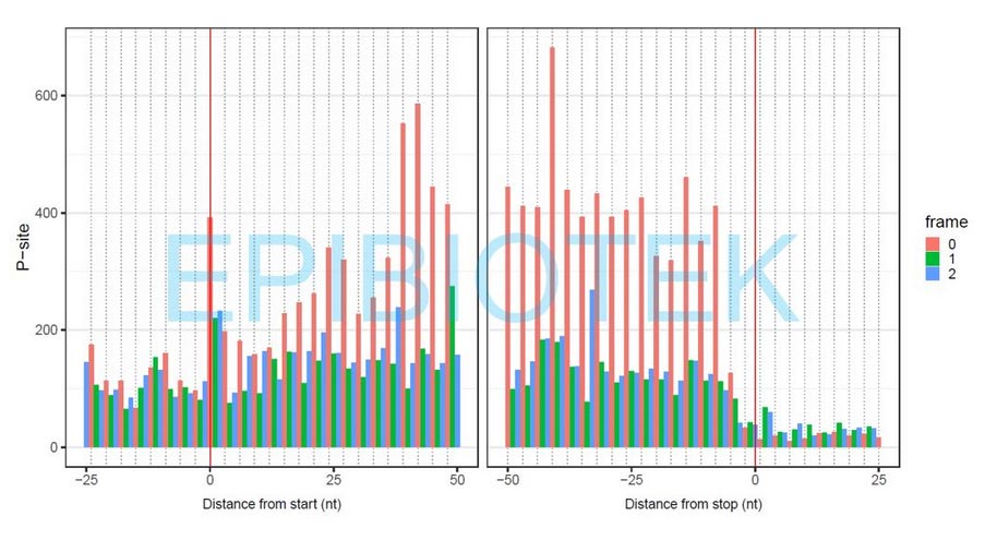 翻译组学研究利器_Ribo-seq ribosome profiling价格,详情介绍-960化工网 – 960化工网