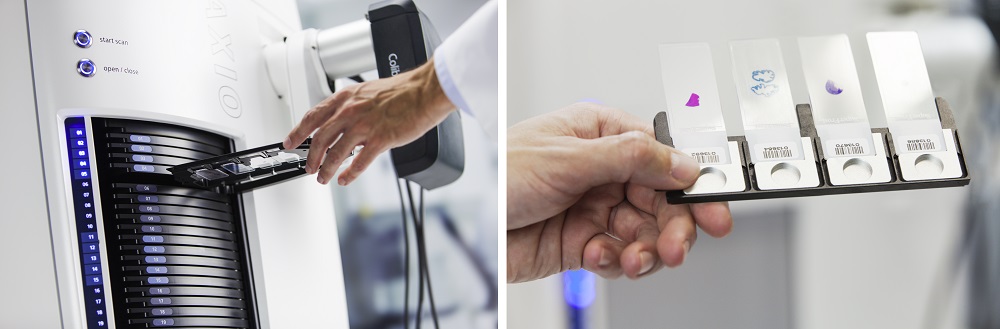 蔡司全自动数字玻片扫描系统Axioscan 7价格,详情介绍-960化工网 – 960化工网