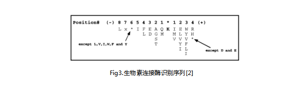 在 293 细胞中利用 Avi-tag 定点标记生物素 - 企业动态 - 丁香通