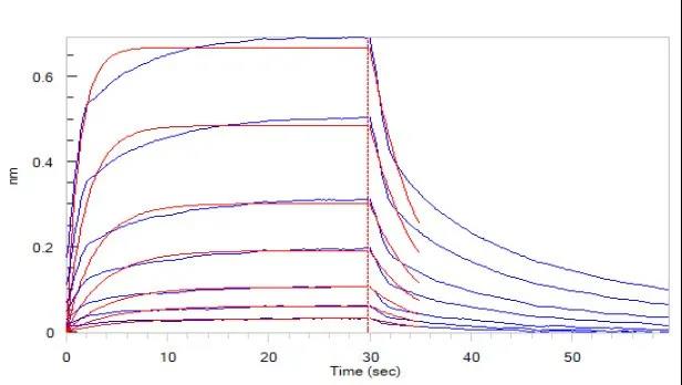 SPR/BLI分子互作技术服务助力全周期抗体药物开发 - 商家动态 - 资讯 - 生物在线