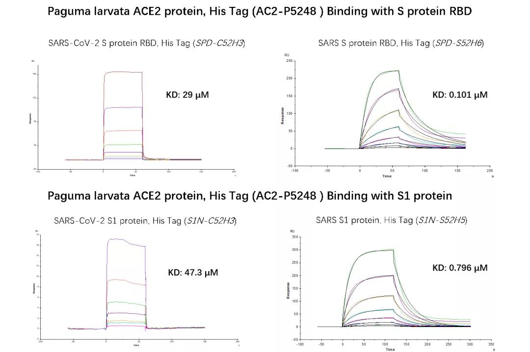 SPR/BLI分子互作技术服务助力全周期抗体药物开发 - 企业动态 - 丁香通