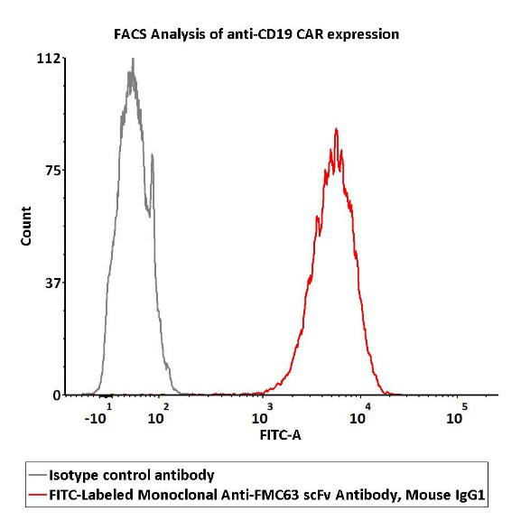 Anti-FMC63 Ab，专为“瞄准”Anti-CD19(FMC63)CAR而设计-公司新闻-北京百普赛斯生物科技股份有限公司