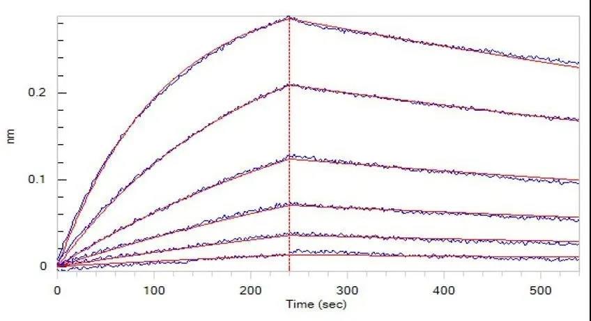 SPR/BLI分子互作技术服务助力全周期抗体药物开发 - 商家动态 - 资讯 - 生物在线