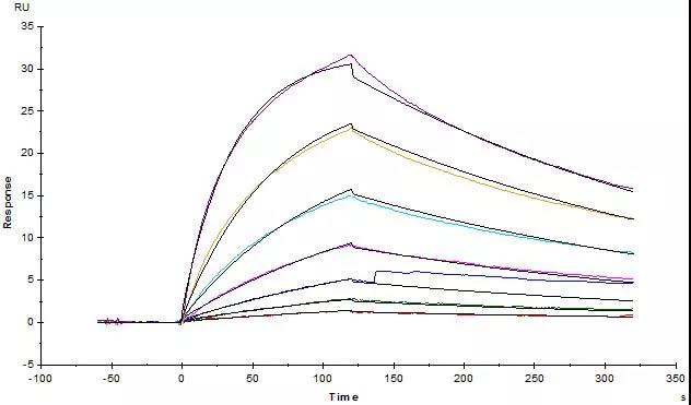 做双抗研发的你确定使用的CD3蛋白是1:1异源二聚体吗？ - 商家动态 - 资讯 - 生物在线