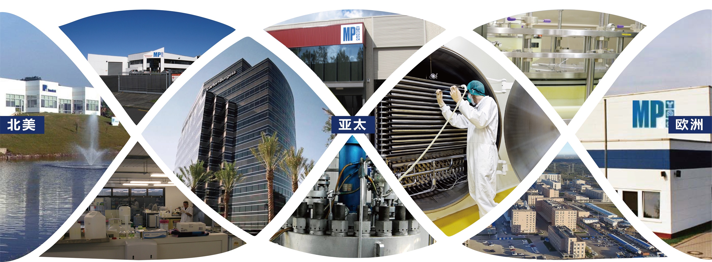 品牌故事 | 1分钟了解MP Biomedicals-公司新闻-MP Biomedicals