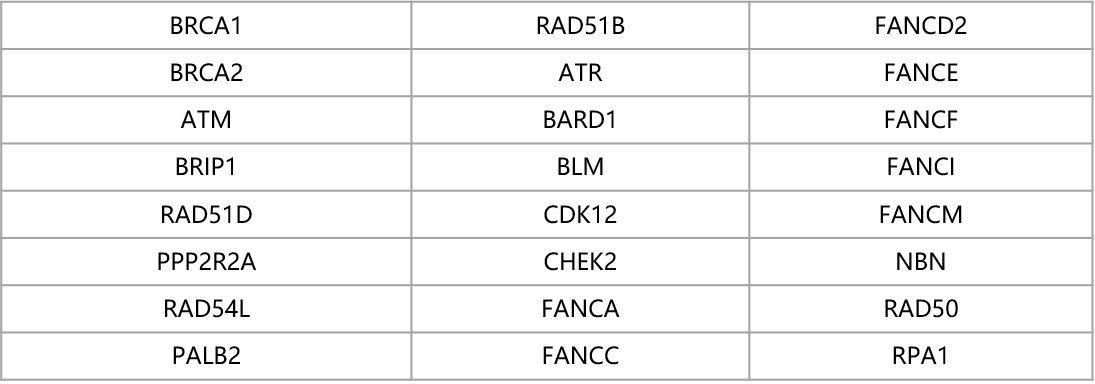 重磅来袭｜菁良基因HRR/HRD标准品开启订购！ - 产品资讯 - 资讯 - 生物在线