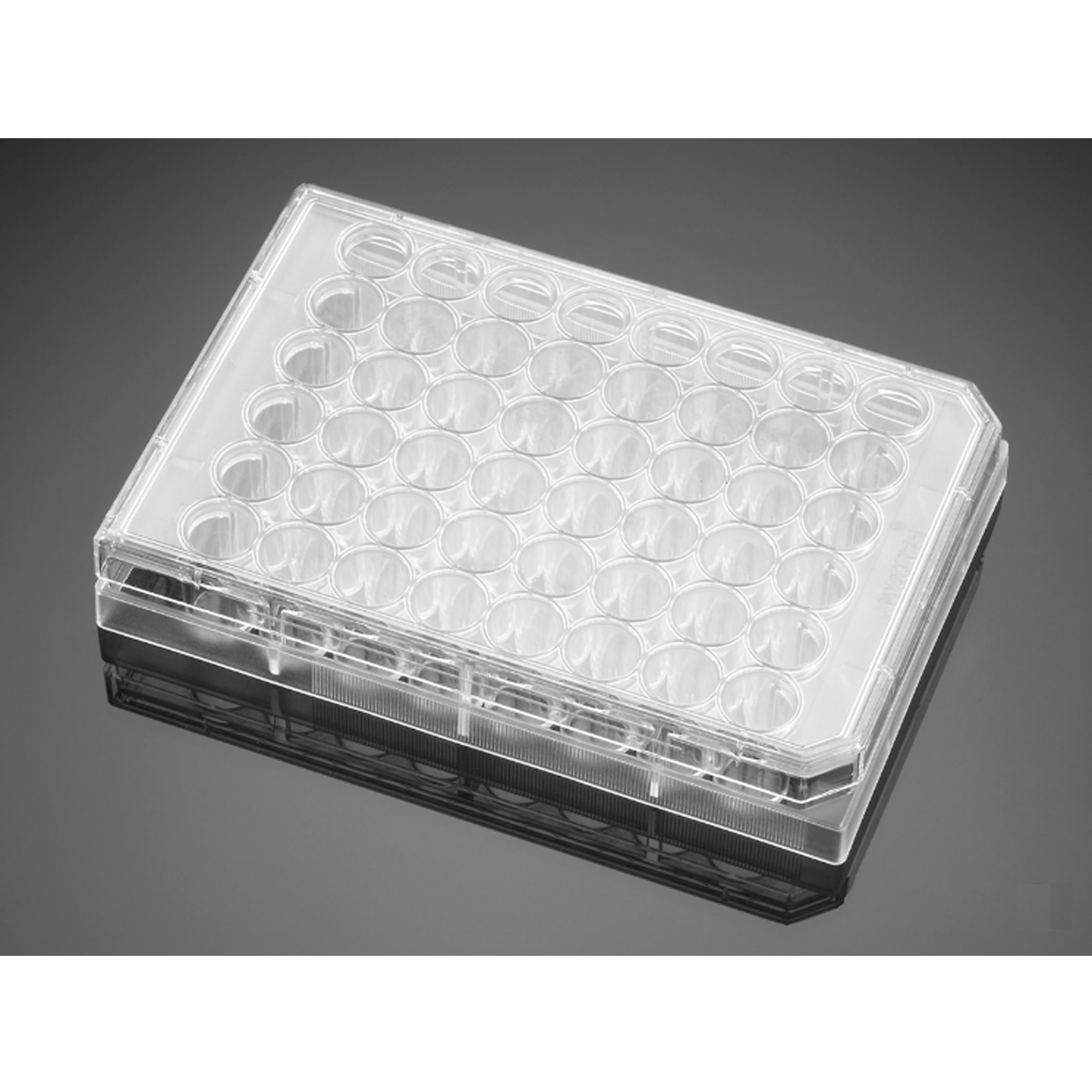 Falcon 353078 48孔透明平底TC处理细胞培养板， 带盖，单独包装，无菌，现货价格,详情介绍-960化工网 – 960化工网