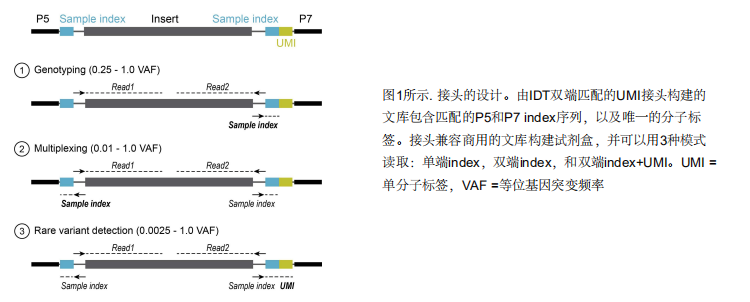 xGen UDI-UMI Adapters价格_品牌:IDT-丁香通