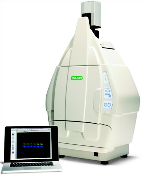 蛋白质晶体价格,详情介绍-960化工网 – 960化工网