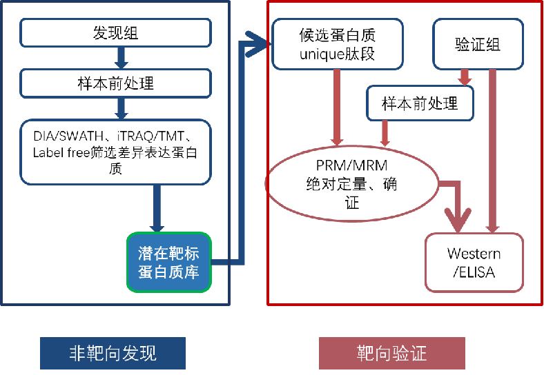 iTRAQ/DIA/TMT/PRM 蛋白组学 质谱检测分析服务价格,详情介绍-960化工网 – 960化工网
