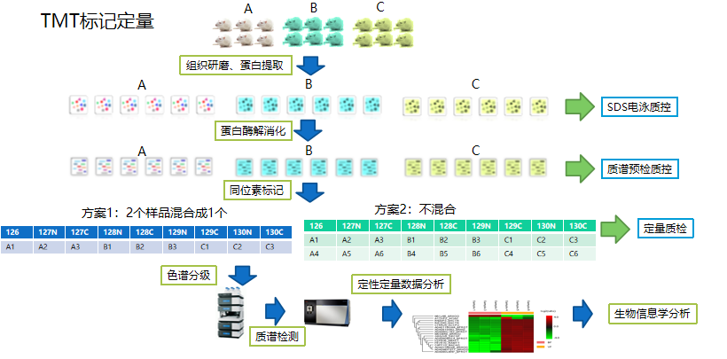 iTRAQ/DIA/TMT/PRM 蛋白组学 质谱检测分析服务价格,详情介绍-960化工网 – 960化工网