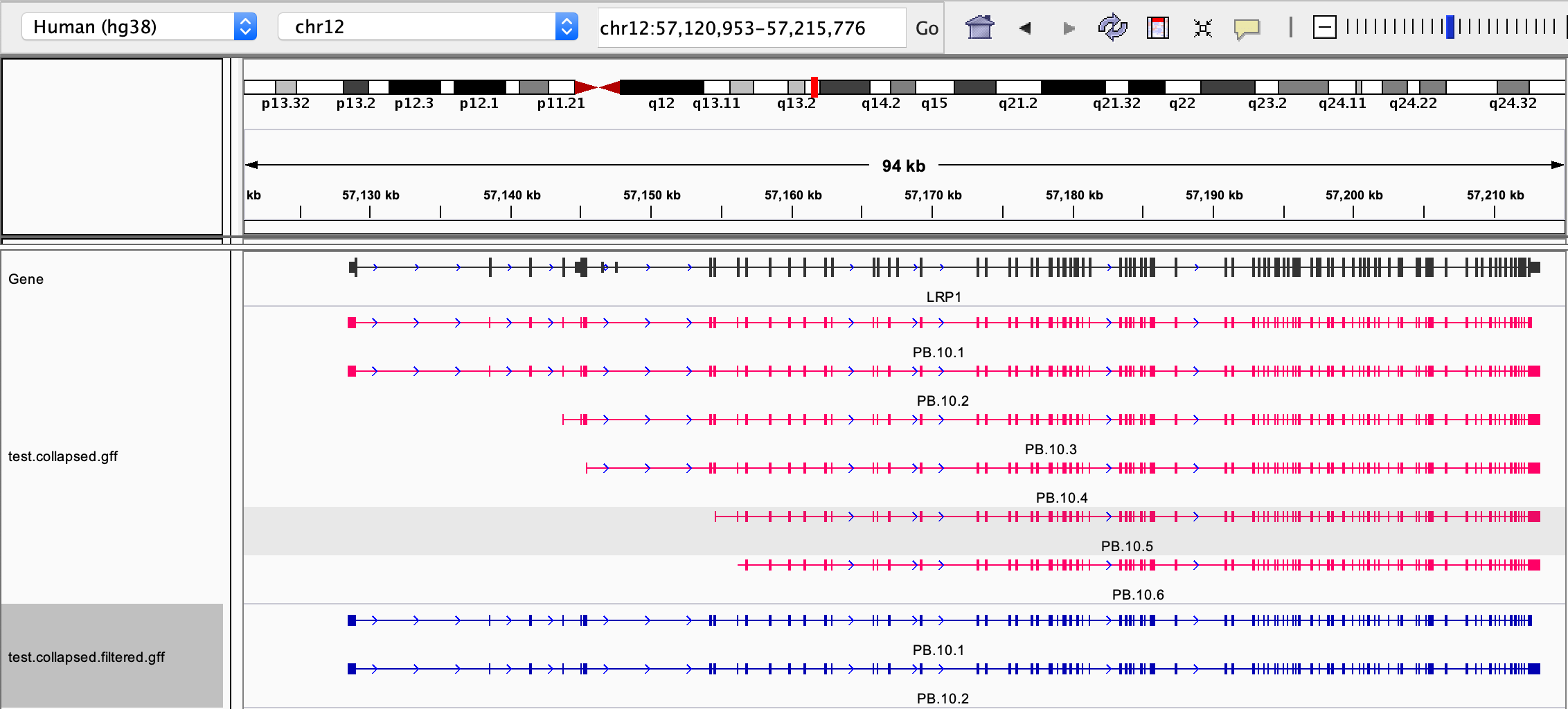 Pacbio 全长转录组 Iso-seq 服务价格-丁香通