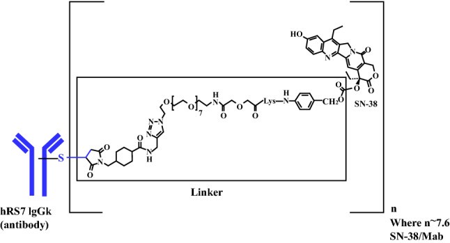 TROP-2: 差异化靶点布局颠覆目前格局（内含试用装） - 自主发布 - 资讯 - 生物在线