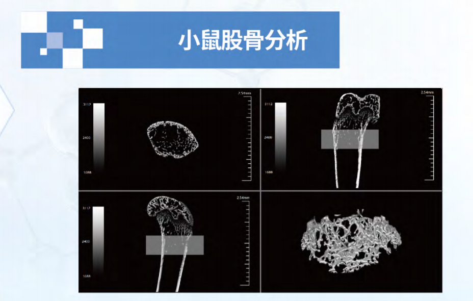 Micro CT 扫描服务价格,详情介绍-960化工网 – 960化工网