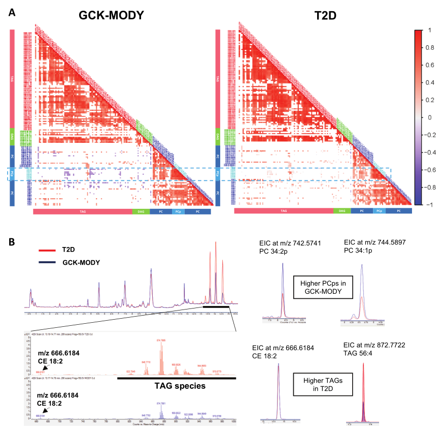 Redox Biology：高血糖 GCK-MODY 中的抗动脉粥样硬化脂质特征 - 企业动态 - 丁香通