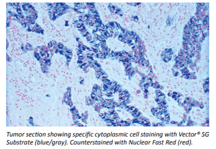NUCLEAR FAST RED (500ml)核固红复染试剂价格,详情介绍-960化工网 – 960化工网