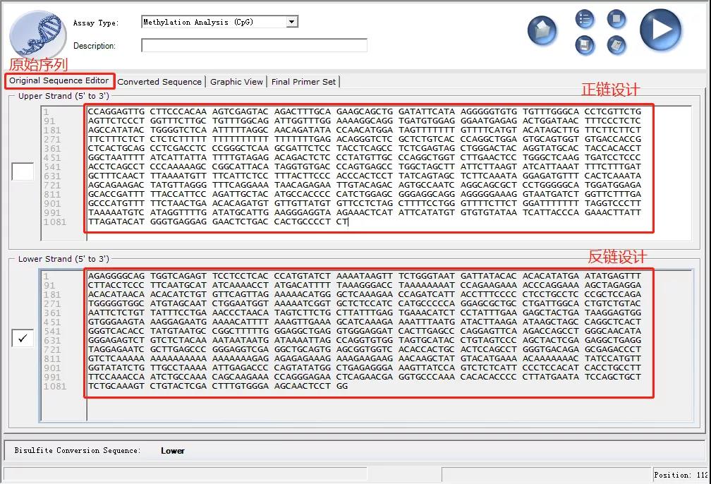 3个问题解决焦磷酸测序引物设计 - 企业动态 - 丁香通