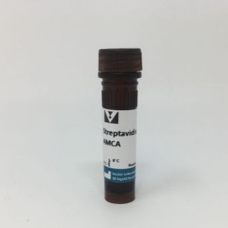 AMCA STREPTAVIDIN (1mg)链霉亲和素，AMCA标记价格_品牌:Vector Laboratories-丁香通官网
