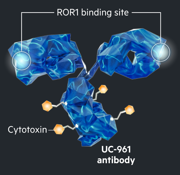 屡获巨头青睐，ROR1为何如此炙手可热 - 商家动态 - 资讯 - 生物在线