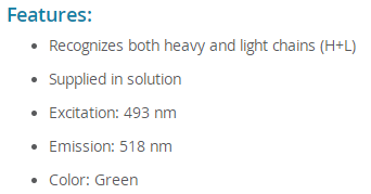 DyLight*488 ANTI-MOUSE IgG (MADE I HORSE) (1.5mg)马抗小鼠IgG抗体，DyLight*488 ...