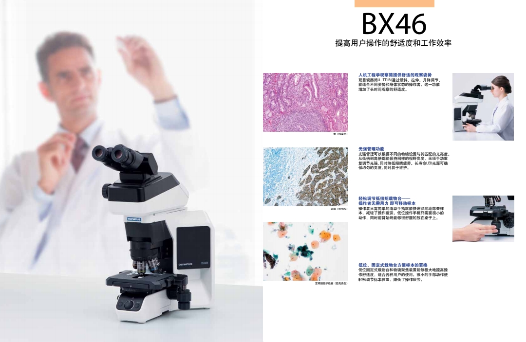 OLYMPUS BX43/BX46/BX53 BX3系列价格,详情介绍-960化工网 – 960化工网