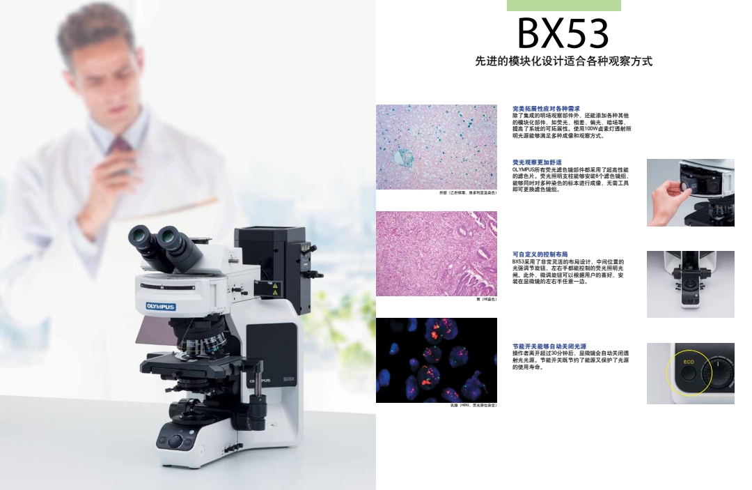 OLYMPUS BX43/BX46/BX53 BX3系列价格,详情介绍-960化工网 – 960化工网