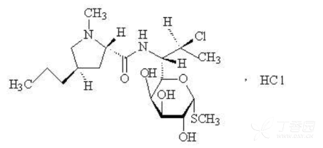盐酸克林霉素注射液（华润双鹤）