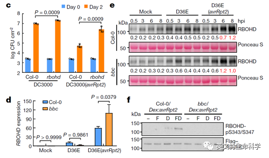 Nature"背靠背":揭示植物免疫系统PTI和ETI协同作用的新机制-公司新闻-英文特生物技术（北京）有限公司