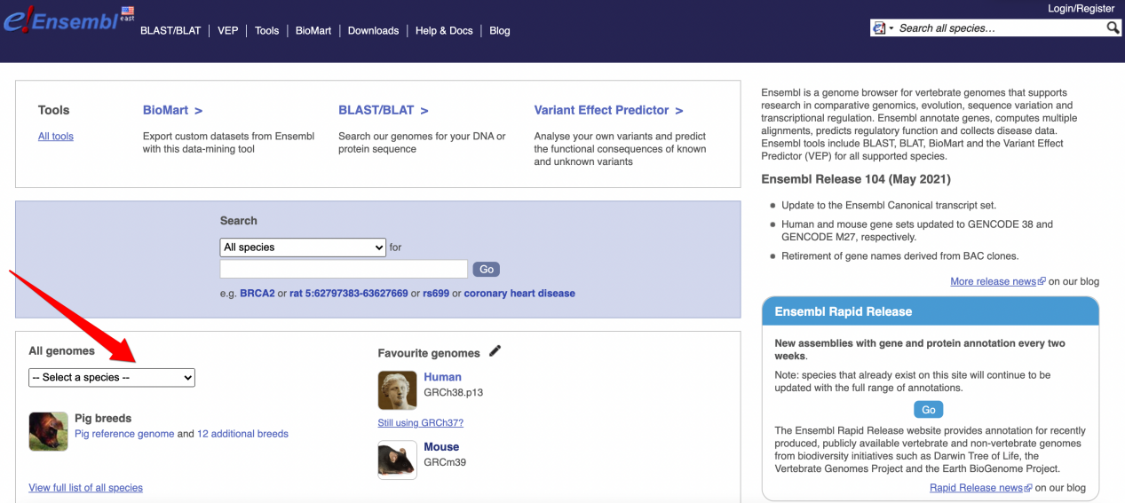 干货 | 如何进行测序物种参考基因组的查找和评估-欧易生物
