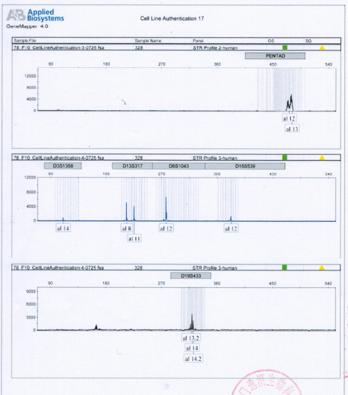 SK-OV-3人卵巢癌细胞(STR鉴定)丨skov3细胞株价格,详情介绍-960化工网 – 960化工网
