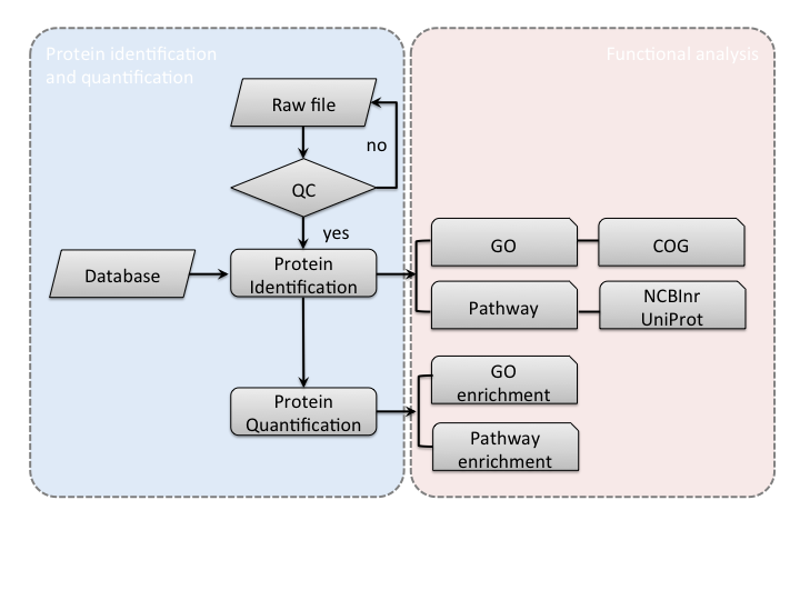 iTRAQ标记蛋白定量价格,详情介绍-960化工网 – 960化工网