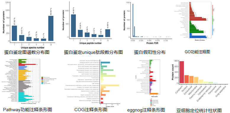 iTRAQ标记蛋白定量价格,详情介绍-960化工网 – 960化工网