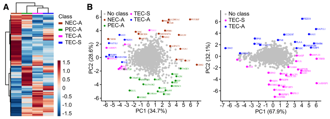 iTRAQ标记蛋白定量价格,详情介绍-960化工网 – 960化工网