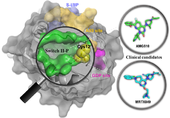 FDA 认定！KRAS 靶点将摆脱“不可成药”困境 - 企业动态 - 丁香通