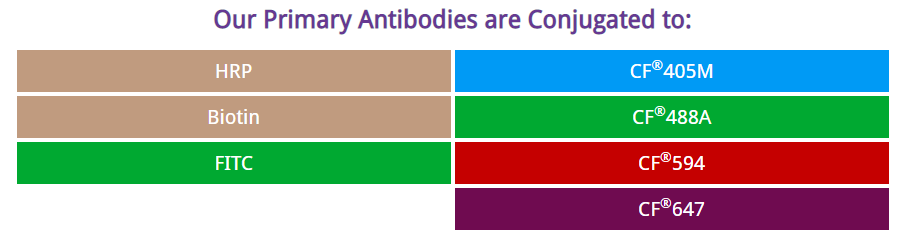绝对干货，如何选择合适的直标抗体？直标抗体还是非标记抗体好用？ - 企业动态 - 丁香通