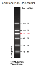 GoldBand 2000 DNA Marker价格,详情介绍-960化工网 – 960化工网