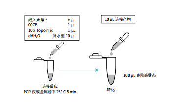 pClone007 Blunt Vector Kit_报价/价格/性能参数/图, 擎科生物_生物器材网