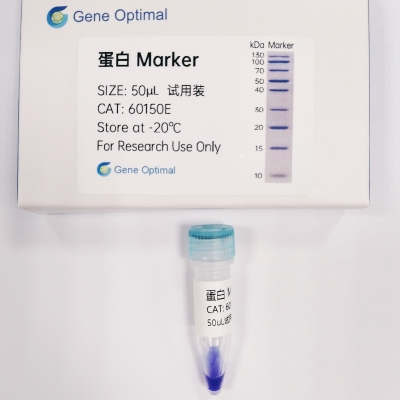 蛋白 Marker价格,详情介绍-960化工网 – 960化工网