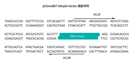 pClone007 Simple Vector Kit/克隆系列/5分钟快速连接，粘性末端的PCR产物适用，无多克隆位点/擎科生物 ...