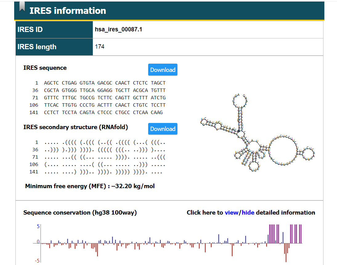 IRESbase：经实验验证的内部核糖体进入位点 (IRES) 的综合数据库-公司新闻-上海英拜生物科技有限公司