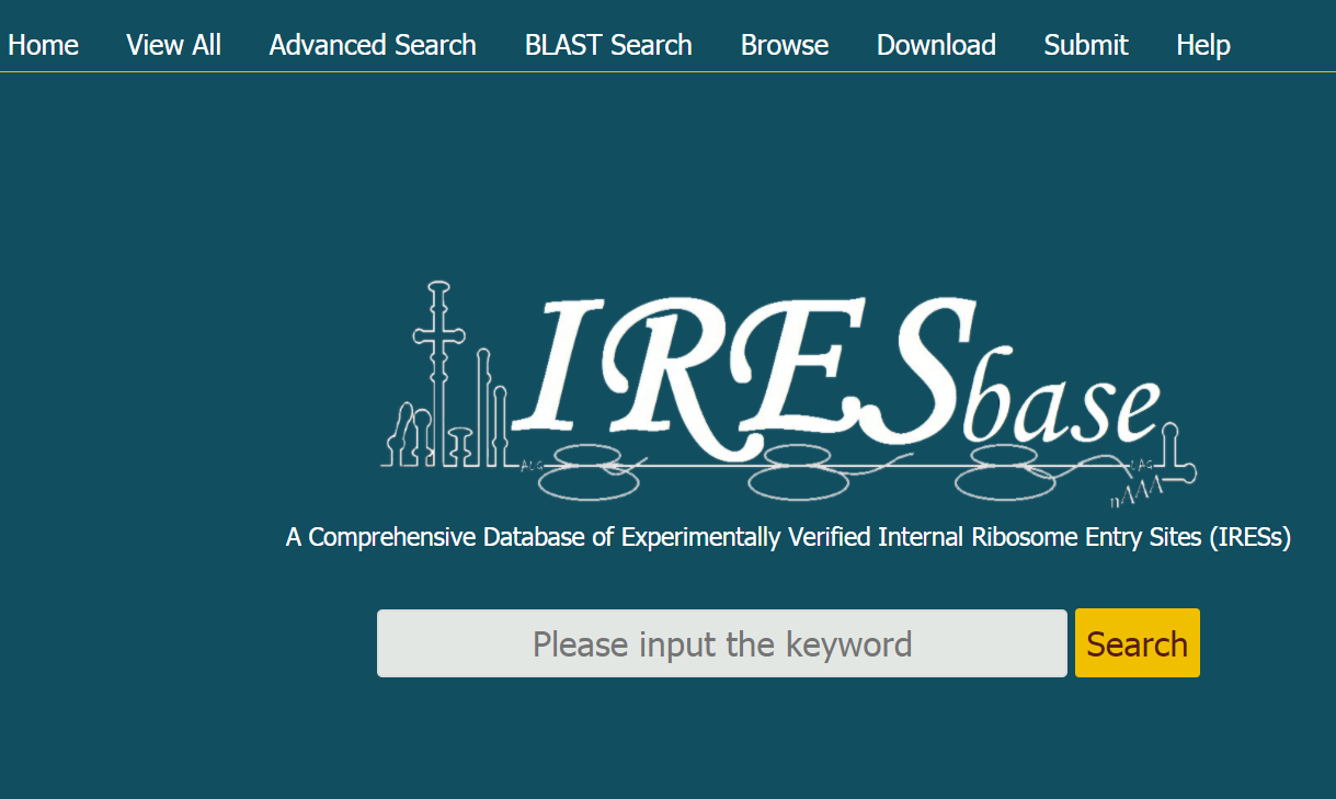 IRESbase：经实验验证的内部核糖体进入位点 (IRES) 的综合数据库-公司新闻-上海英拜生物科技有限公司