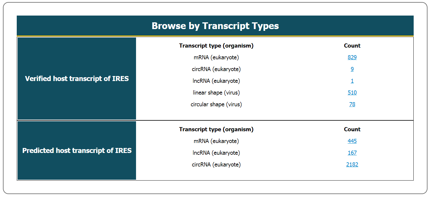 IRESbase：经实验验证的内部核糖体进入位点 (IRES) 的综合数据库-公司新闻-上海英拜生物科技有限公司